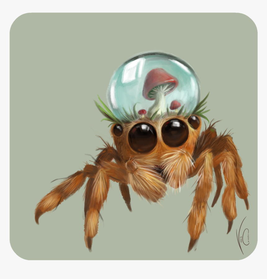 Scary Drawings Of Spiders