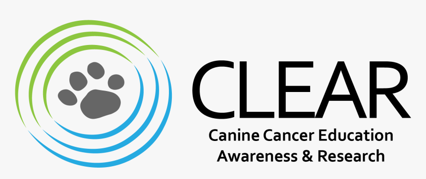 Clear Canine Cancer Logo - Graphic Design, HD Png Download ...