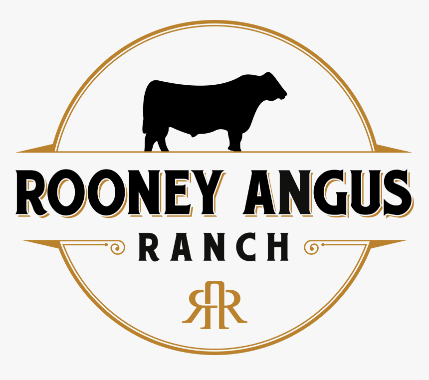 Angus Ranch Logo, HD Png Download , Transparent Png Image - PNGitem