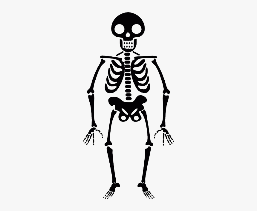 Skeleton Transparent Png - Halloween Skeleton Transparent Background ...