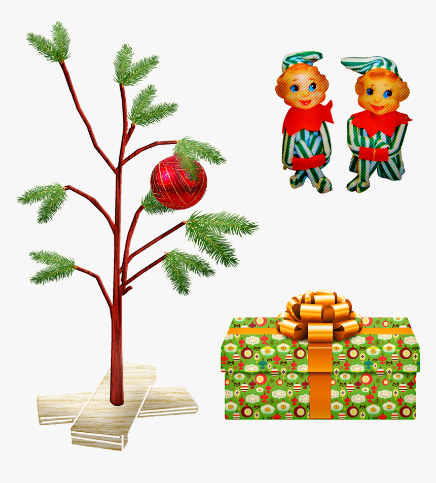 Charlie Brown Christmas Tree, Elf, Gift, Christmas, HD Png Download ...