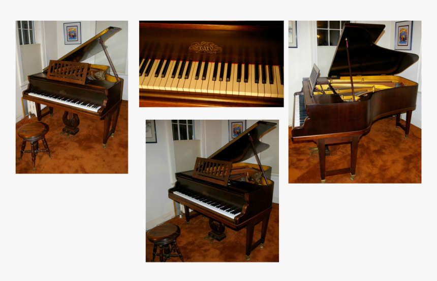 Picture - Fortepiano, HD Png Download , Transparent Png Image - PNGitem