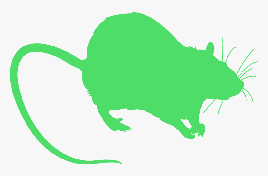 Mice Simple, HD Png Download , Transparent Png Image - PNGitem