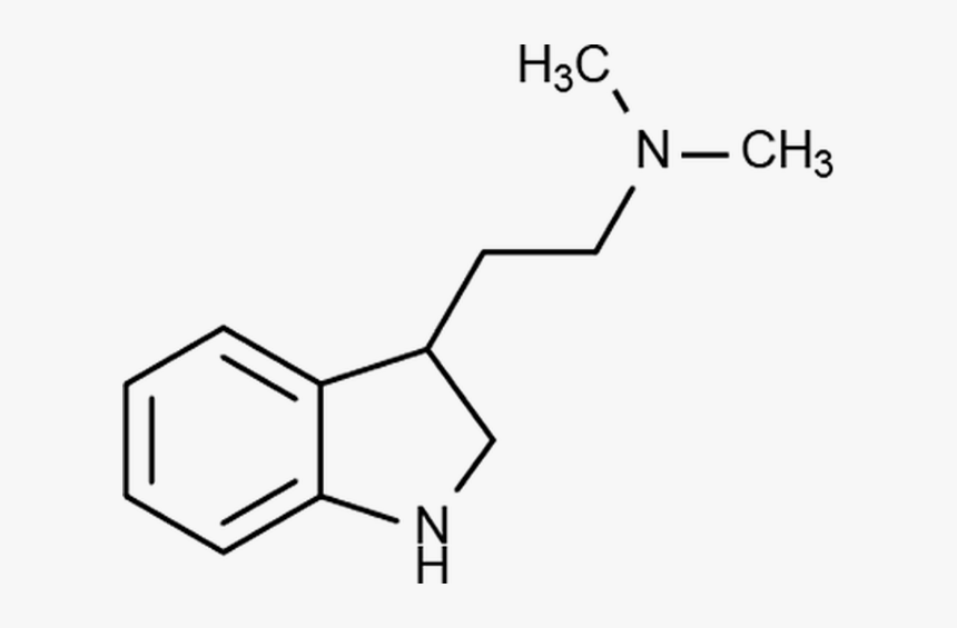Dimethyltryptamine Structure