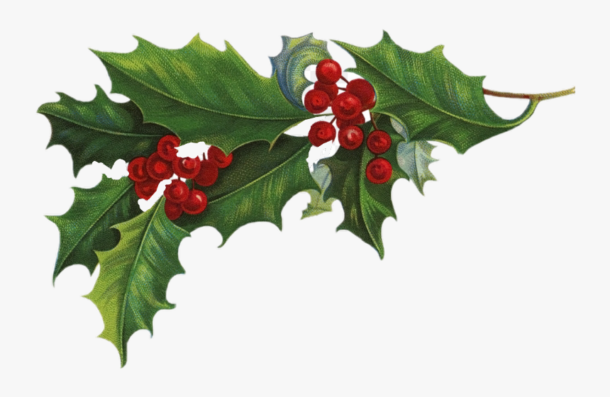 Freetoedit Garlands Christmas Christmastree Christmastime - Holly ...