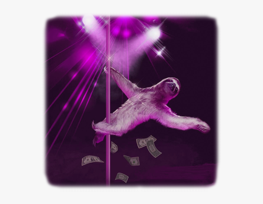 Sloth Stripping - Stripper Sloth, HD Png Download , Transparent Png ...