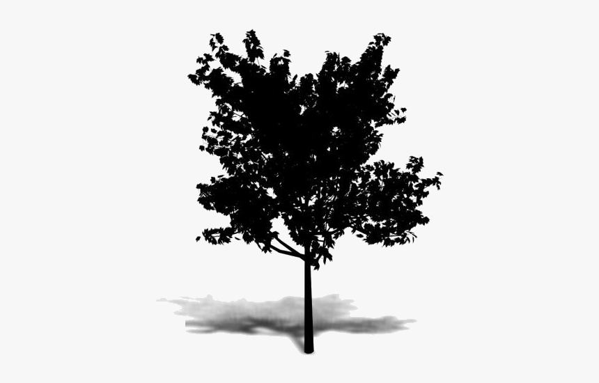 Summer Tree Png Transparent Images - Axonometrie Tree, Png Download ...