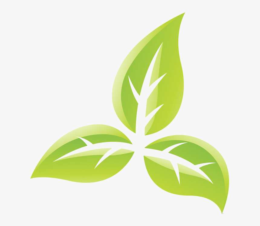 Transparent Tobacco Leaf Png - Tobacco Plant Tobacco Symbol, Png ...