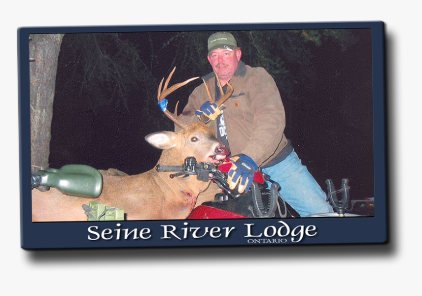 Transparent Deer Rack Png - Deer Hunting, Png Download , Transparent ...