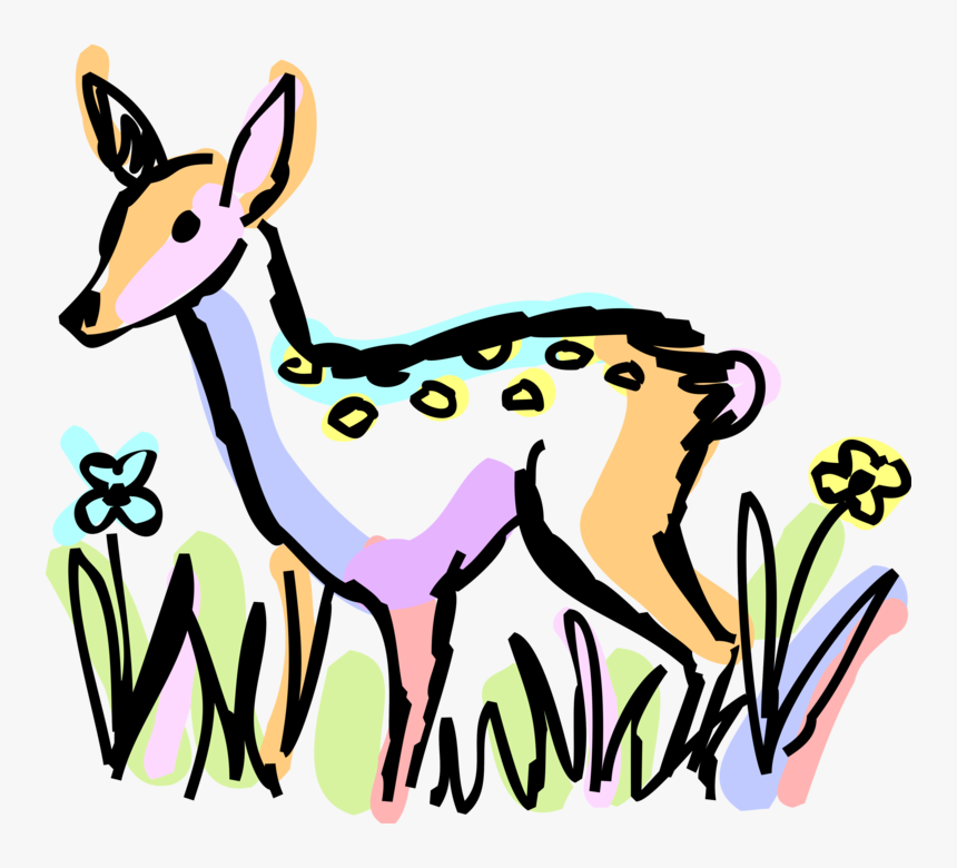 Vector Illustration Of White Tailed Or Whitetail Deer, HD Png Download ...