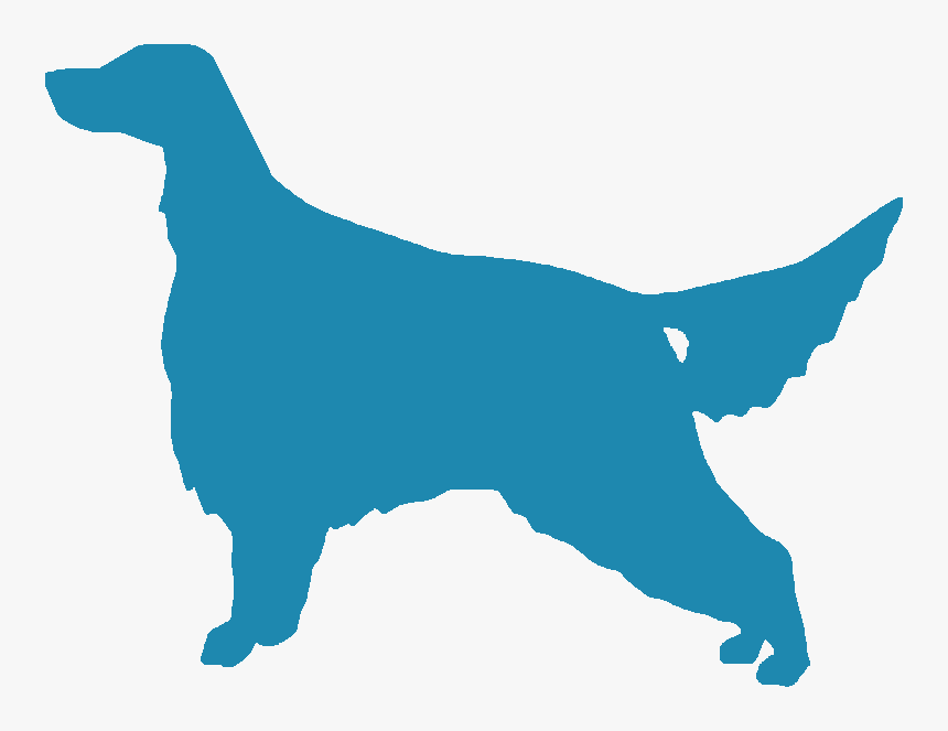 Mary-beth Esser Setter - Irish Setter Clip Art, HD Png Download ...