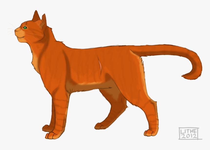 Fireheart Warrior Cats Png, Transparent Png , Transparent Png Image ...
