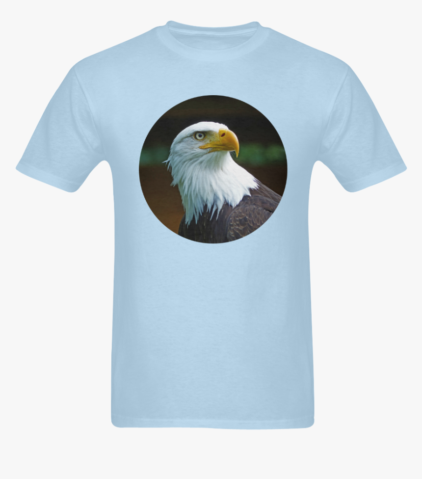 Transparent Bald Eagle Head Png - Bald Eagle, Png Download ...