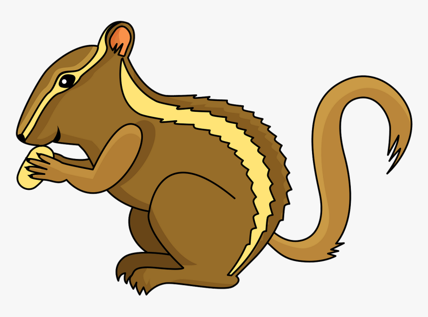 Chipmunk Png, Transparent Png , Transparent Png Image - PNGitem