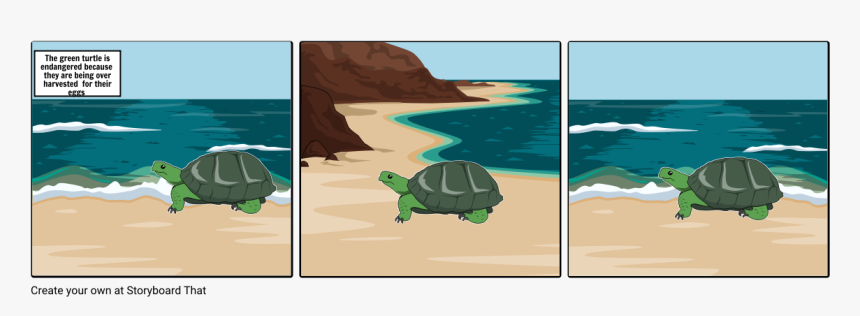 Storyboardthat Beach, HD Png Download , Transparent Png Image - PNGitem
