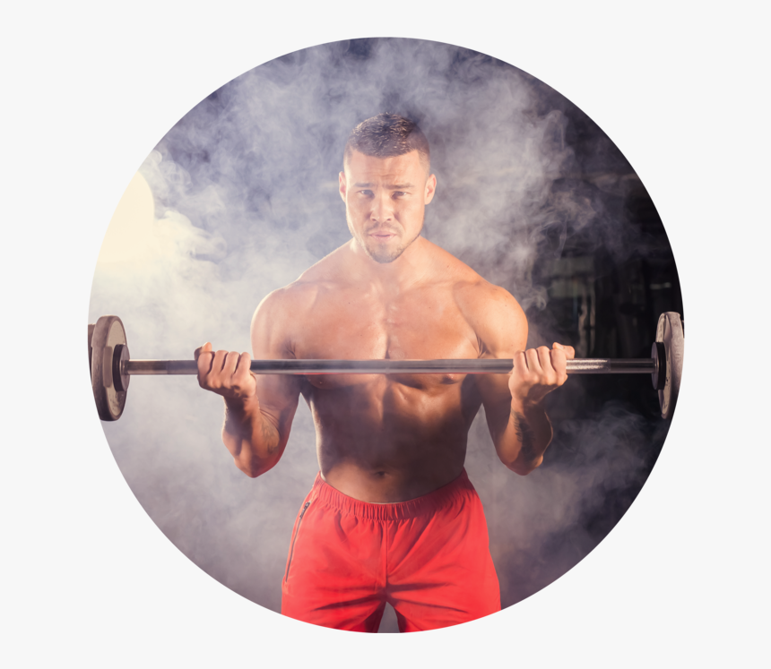 Muscle , Png Download - Bodybuilding, Transparent Png , Transparent Png ...