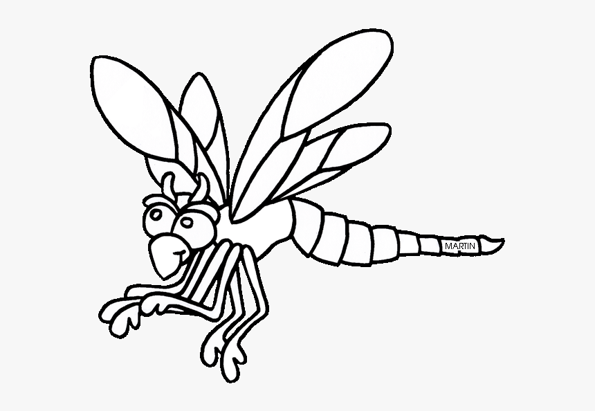 Banner Library United States Clip Art - Washington State Insect Green ...