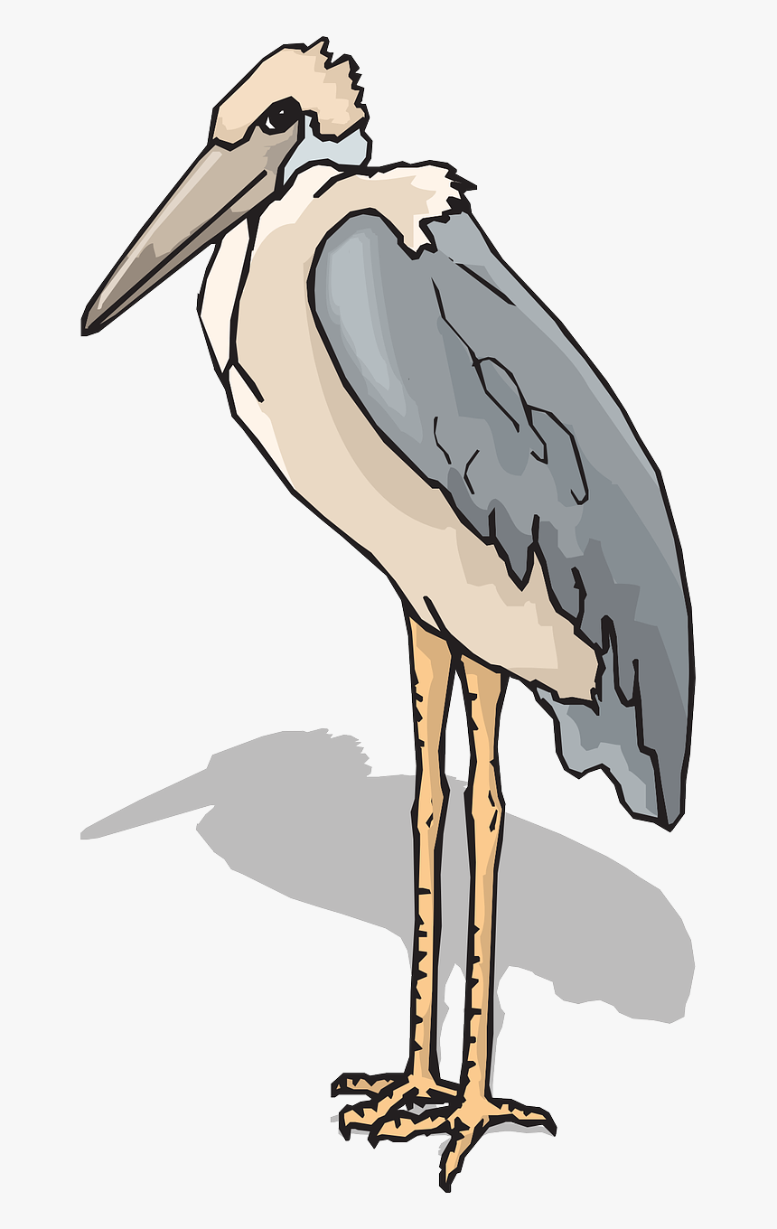 Bird Long Legs Drawings, HD Png Download , Transparent Png Image - PNGitem