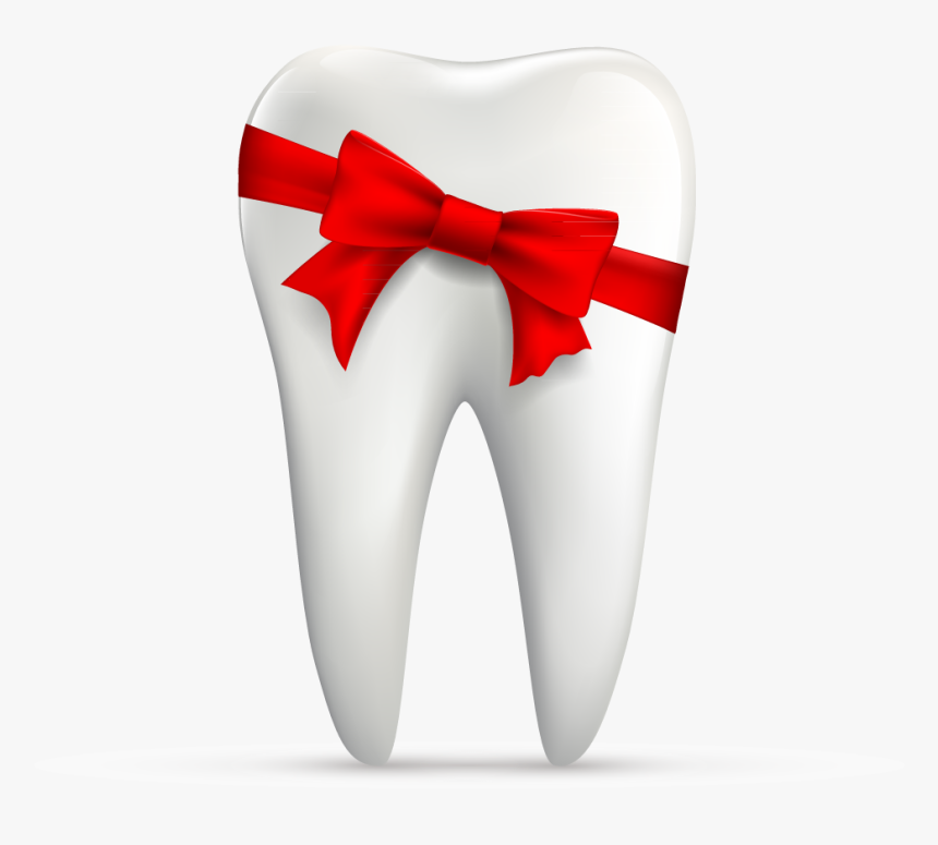 Human Tooth Euclidean Vector - Png Tooth With Ribbon, Transparent Png ...