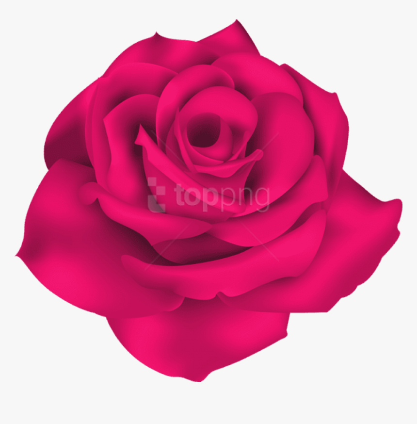 Single Png Rose Petals, Transparent Png , Transparent Png Image - PNGitem