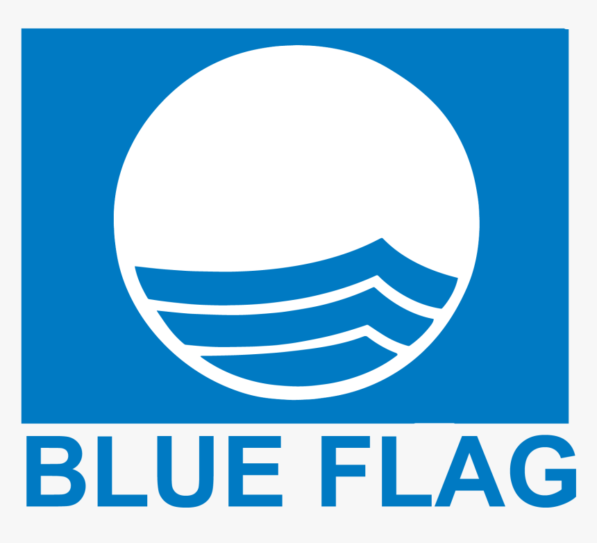 Blue Flag Logo Png, Transparent Png , Transparent Png Image - PNGitem