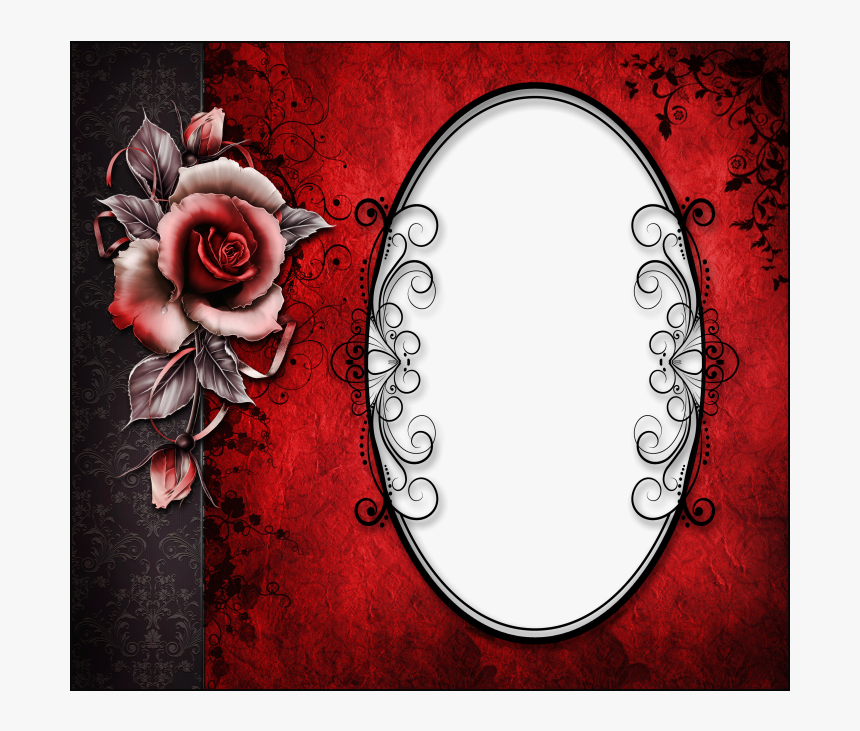 Transparent Rose Frame Png - Red And Black Frames, Png Download ...