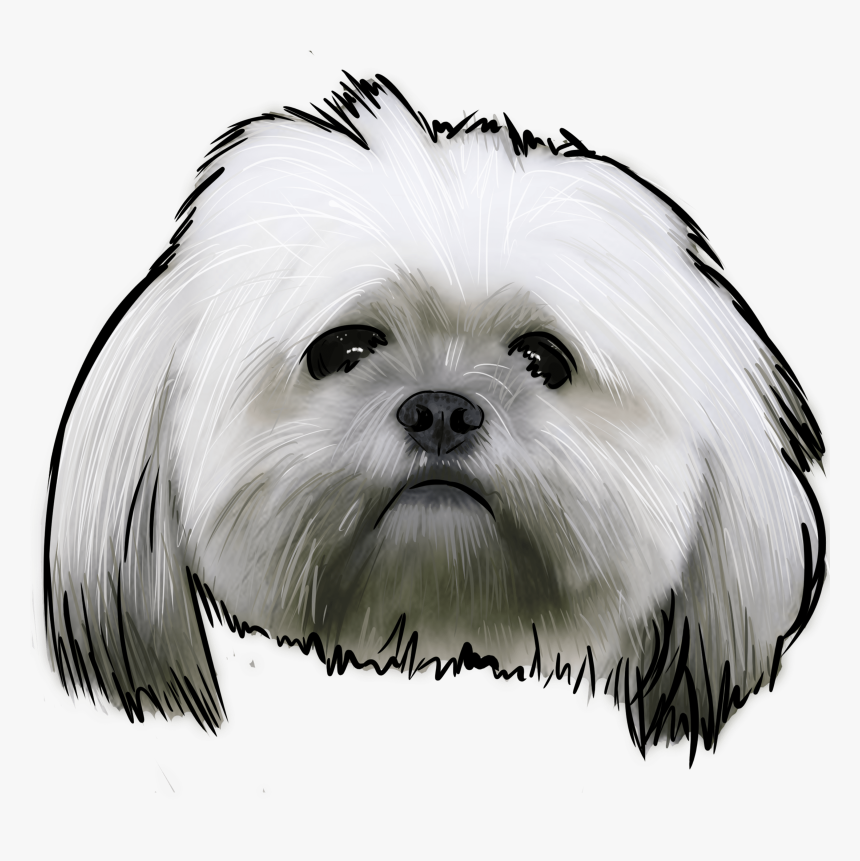 Lhasa Apso Logo, HD Png Download , Transparent Png Image - PNGitem