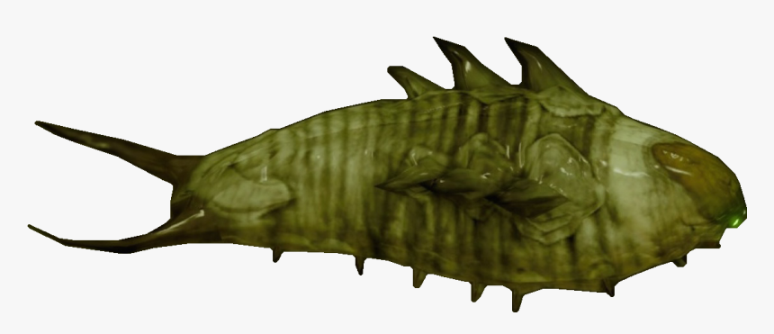 Transparent Worms Png - Hive Larvae Destiny 2, Png Download ...