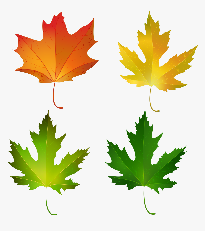 Fall Maple Leaves Set Png Decorative Clipart Image - Fall Maple Leaf ...