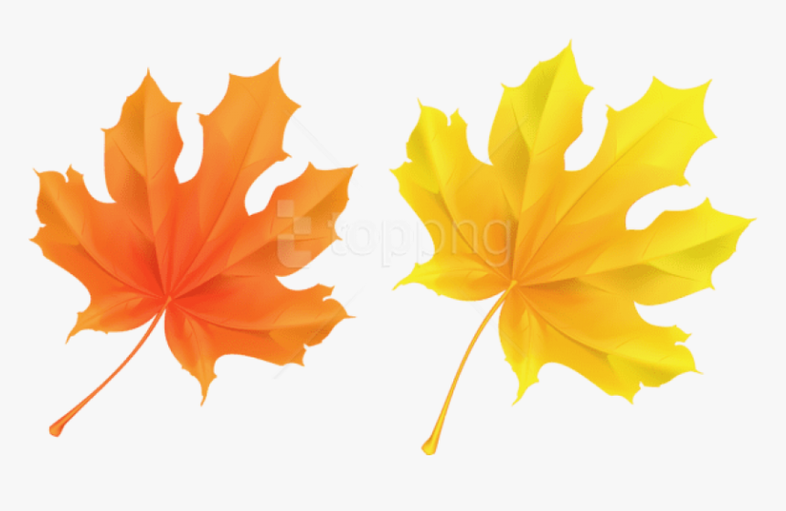 Download Transparent Yellow And - Transparent Background Fall Leaf ...