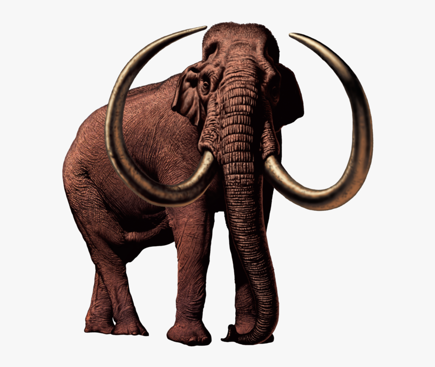 Transparent Mammoth Png - Columbian Mammoth Transparent, Png Download ...