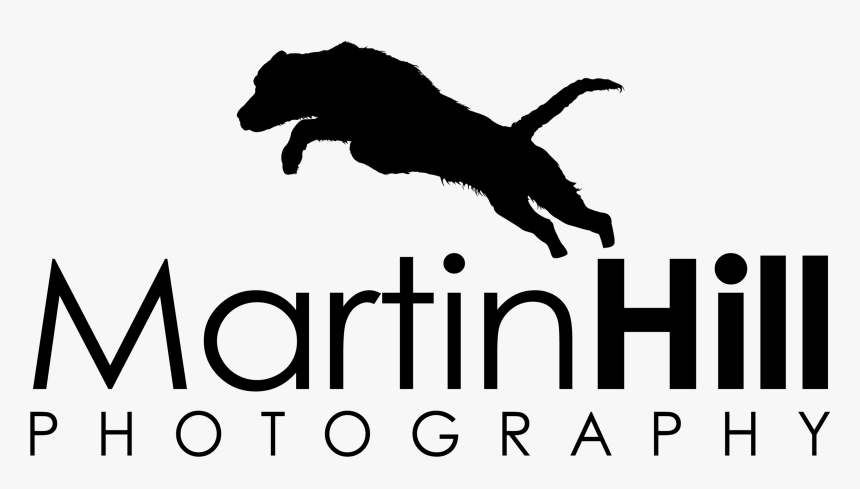 Get Smarter, HD Png Download , Transparent Png Image - PNGitem