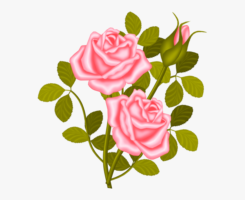 Red Rose Bush Clipart, HD Png Download , Transparent Png Image - PNGitem