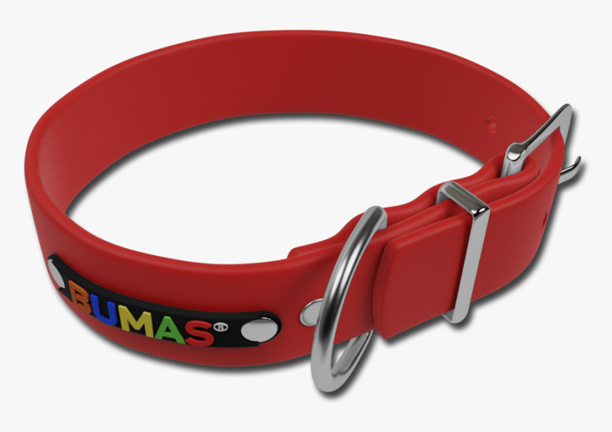 Buckle, HD Png Download , Transparent Png Image - PNGitem