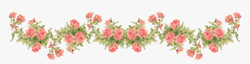 Transparent Peach Roses, HD Png Download , Transparent Png Image - PNGitem