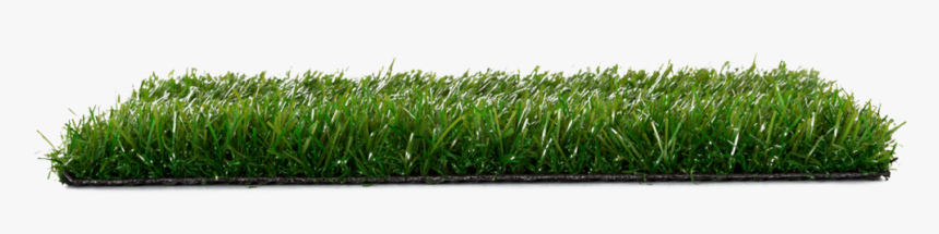 Lawn, HD Png Download , Transparent Png Image - PNGitem