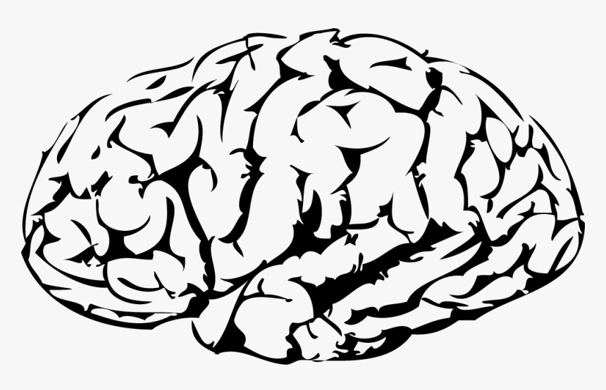Brain Png Vector - Vector Brain Png, Transparent Png , Transparent Png ...