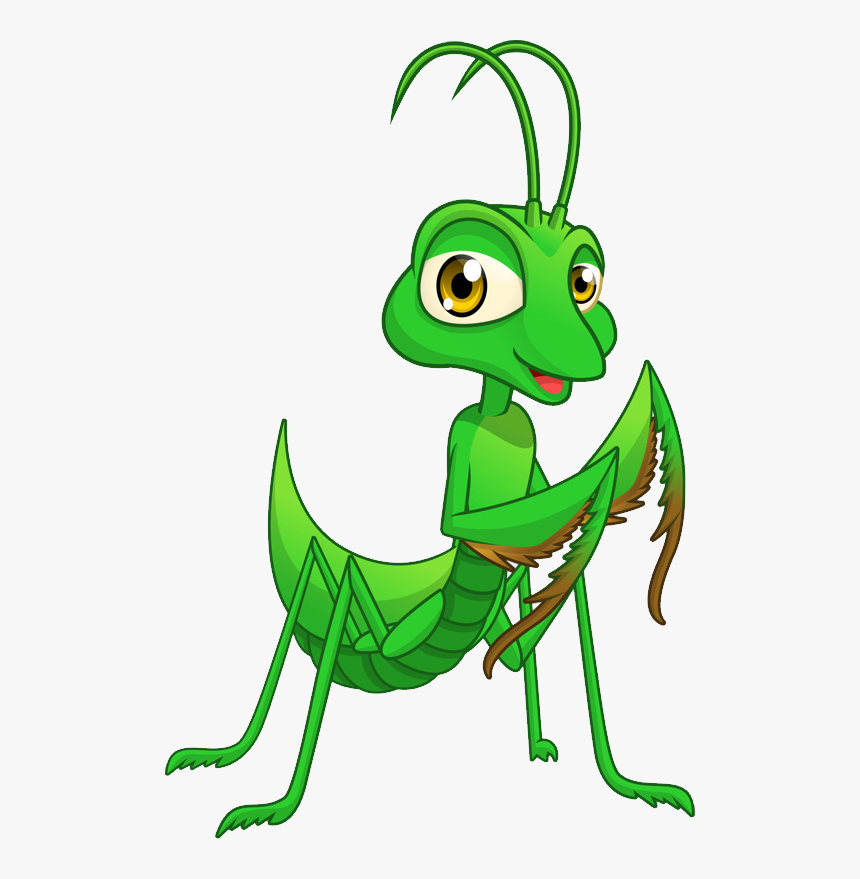 Mantis Png - Small Praying Mantis Cartoon, Transparent Png ...
