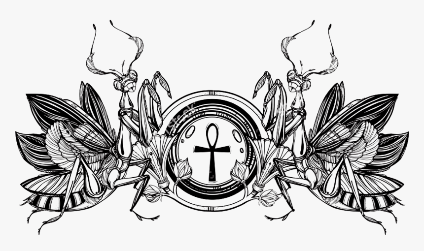 Vintage Style Png Download - Mantis, Transparent Png , Transparent Png ...