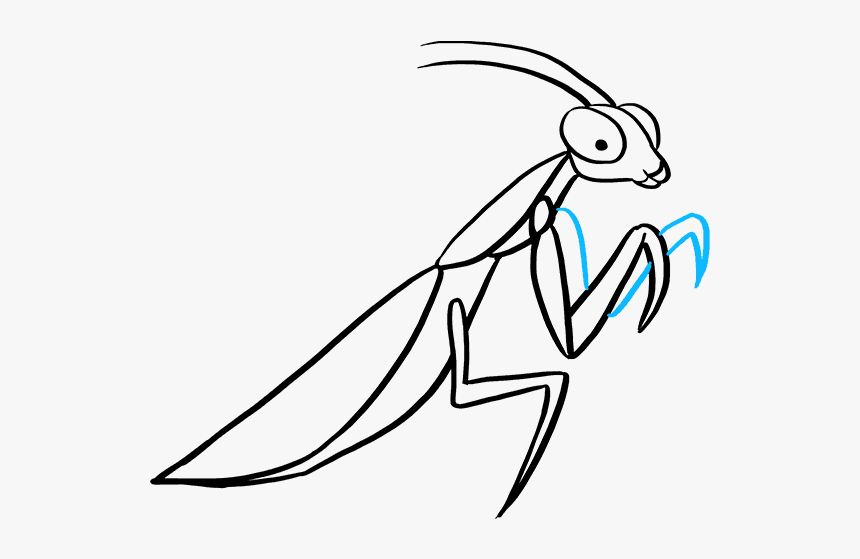 How To Draw A Praying Mantis