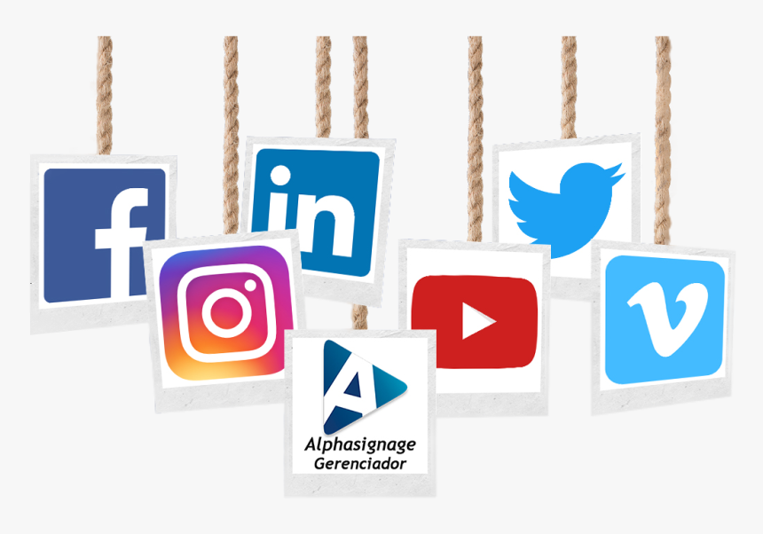 Linkedin, HD Png Download , Transparent Png Image - PNGitem