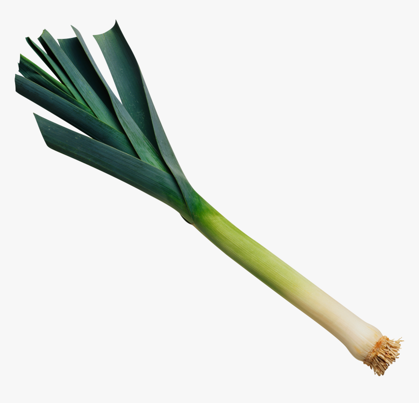 Leek Png, Transparent Png , Transparent Png Image - PNGitem