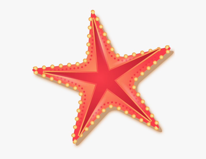 Starfish, HD Png Download , Transparent Png Image - PNGitem