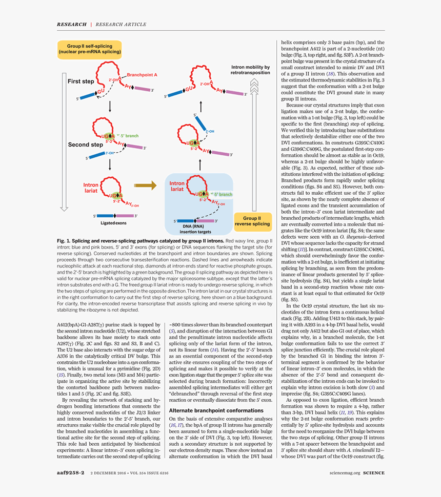 Gfx Particles Png , Png Download - Ye'kuana, Transparent Png ...