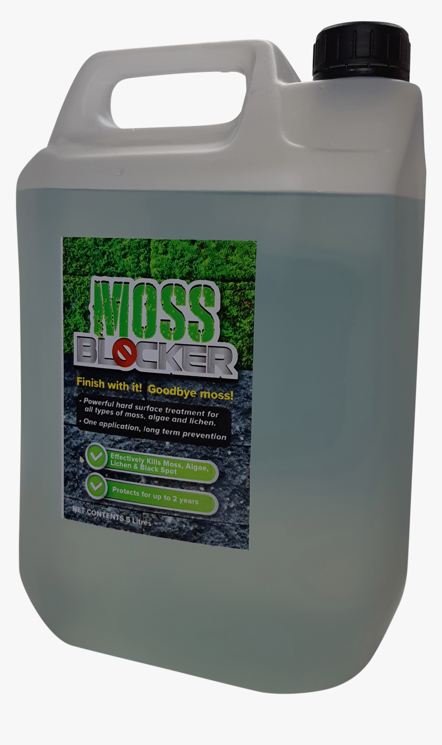 Transparent Algae Png - Grass, Png Download , Transparent Png Image ...