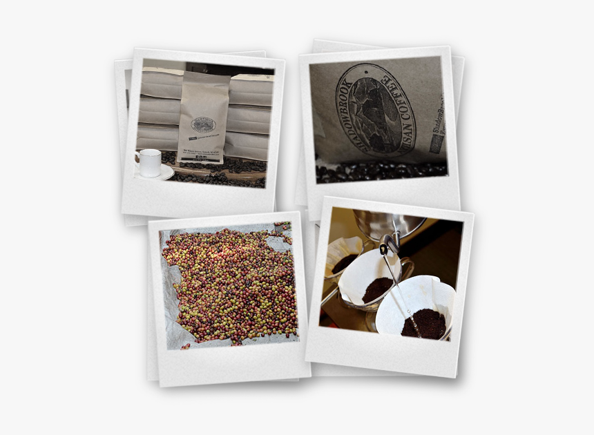 Collage, HD Png Download , Transparent Png Image - PNGitem