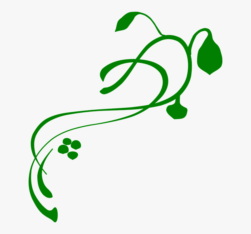 Grape Vine Flourish Line Clip Art