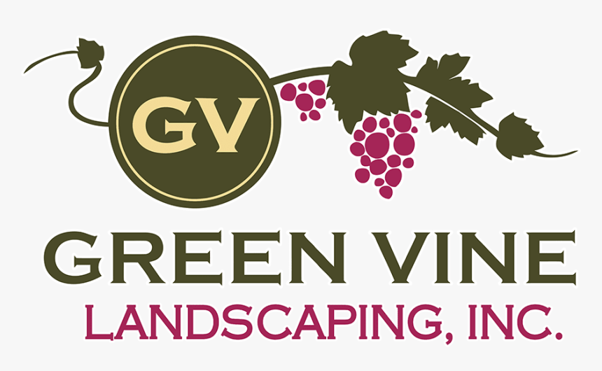 Green Vine Landscaping Logo - Graphic Design, HD Png Download ...