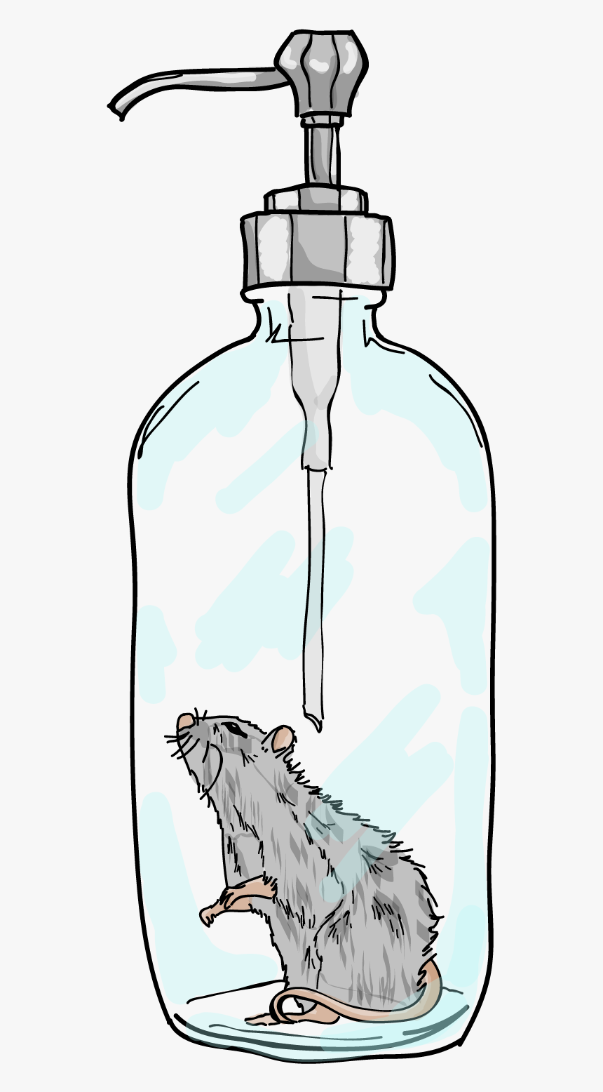 Animaltesting - Bottle, HD Png Download , Transparent Png Image - PNGitem