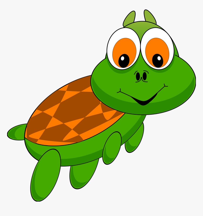 Shy Turtle Clipart